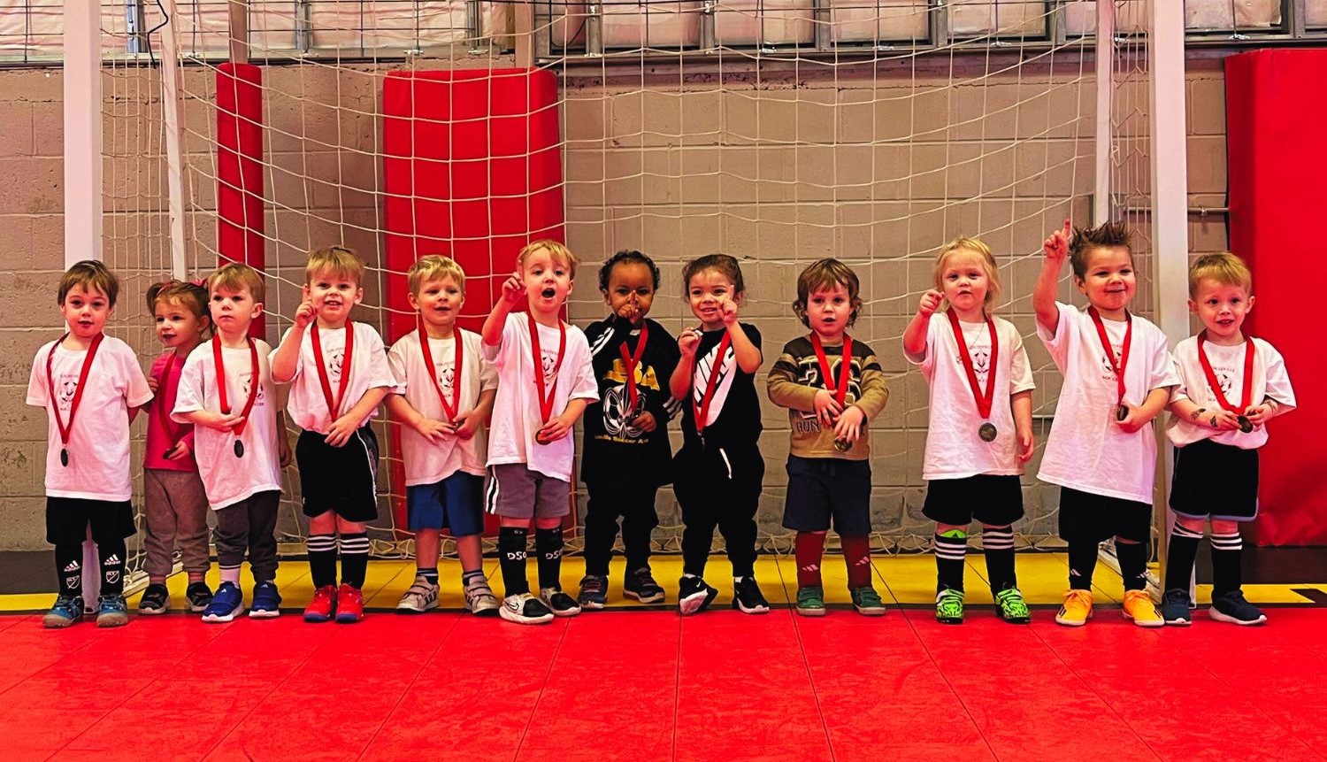 LSA Developmental | Home